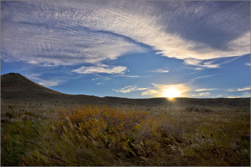 osmp-only-sage-autumn-sunburst-jack-sasson.jpg | City of Boulder