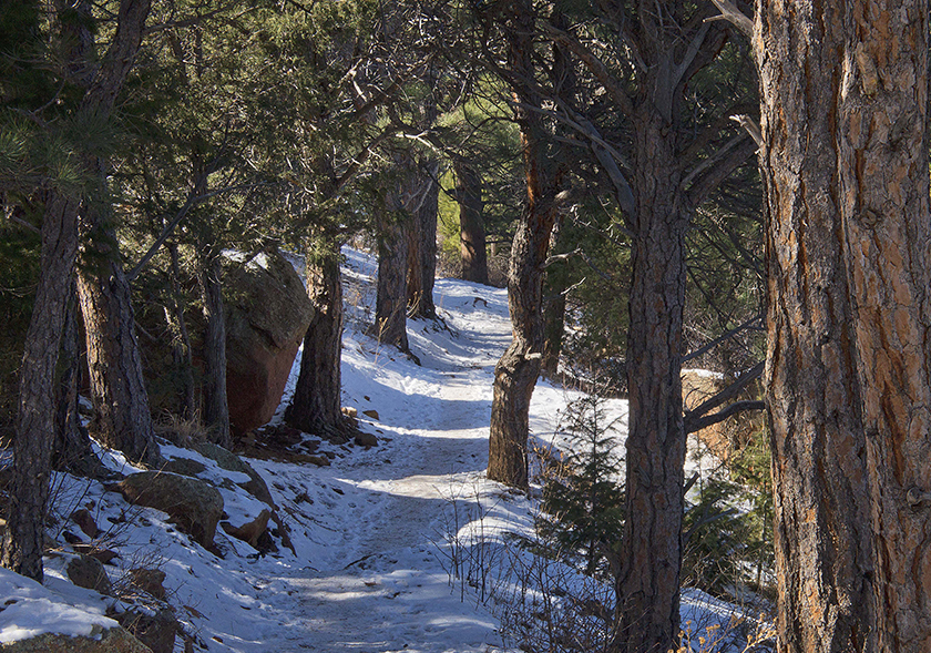 osmp-only-mesa-winter-jack-sasson.jpg | City of Boulder