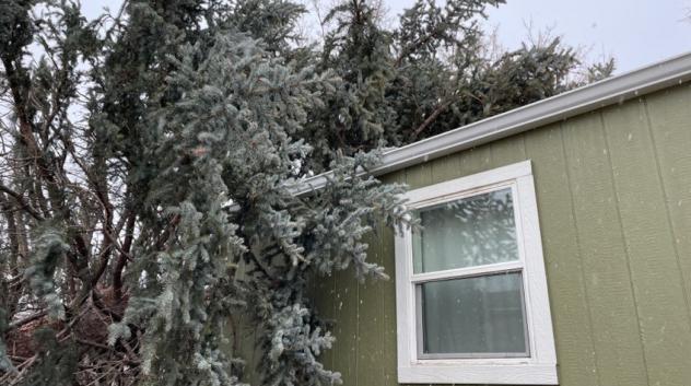 Boulder Issues Disaster Declaration Following Major Wind Damage | City ...