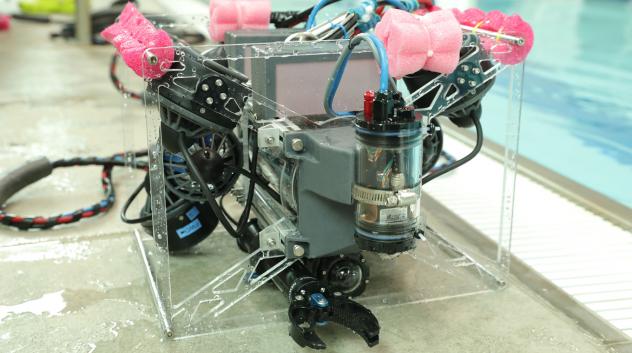 Robosharks team dives into pool to prepare for competition | City of ...