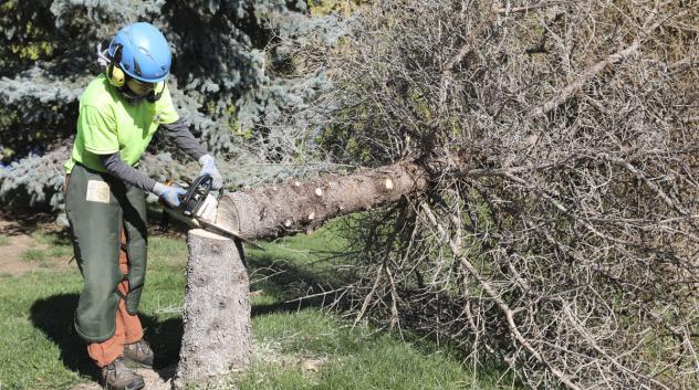 Forestry Team Honors Veterans at Fort Logan National Cemetery During ...